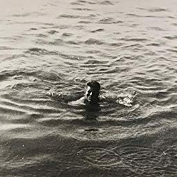 Wally Albums: songs, discography, biography, and listening guide - Rate ...