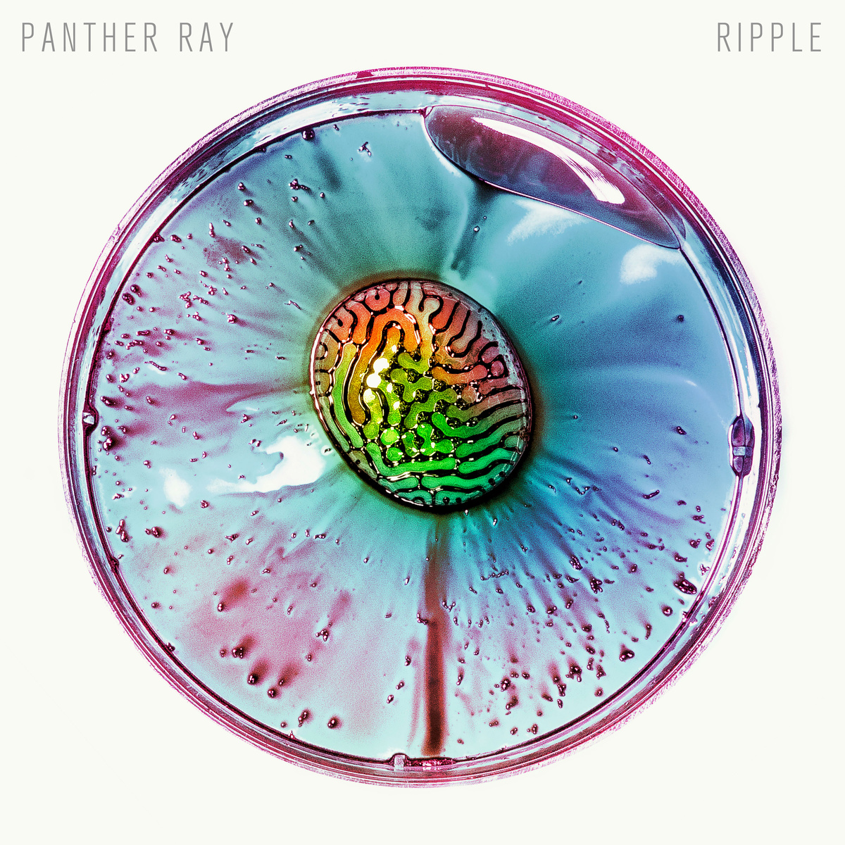 Ripple by Panther Ray (Album): Reviews, Ratings, Credits, Song list ...