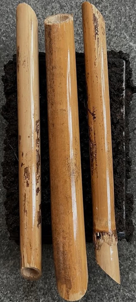 Trench Trapped by Heat Signature (Album; Skeleton Dust): Reviews ...