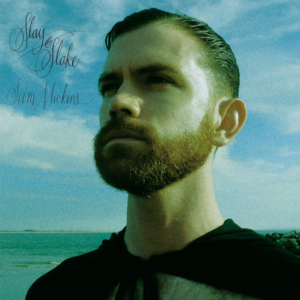 Slay & Slake by Sam Mickens (Album): Reviews, Ratings, Credits, Song ...