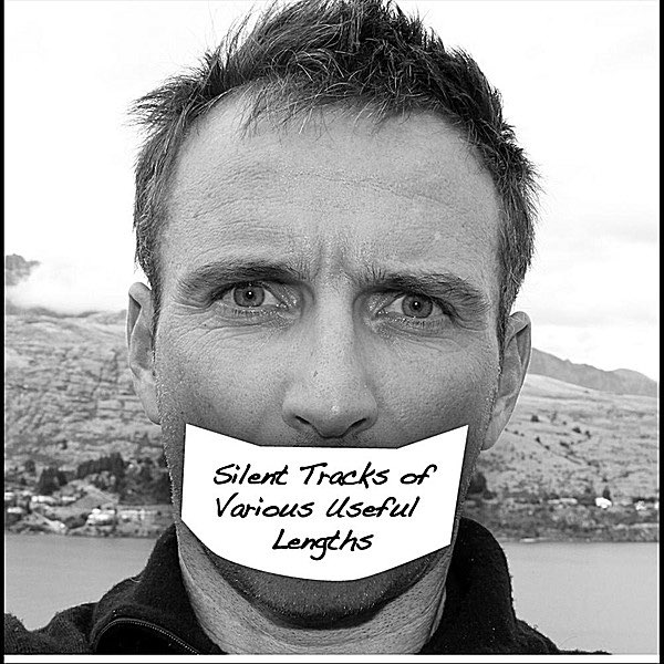 Silent Tracks of Various Useful Lengths by Brett Black (Album, New Age ...