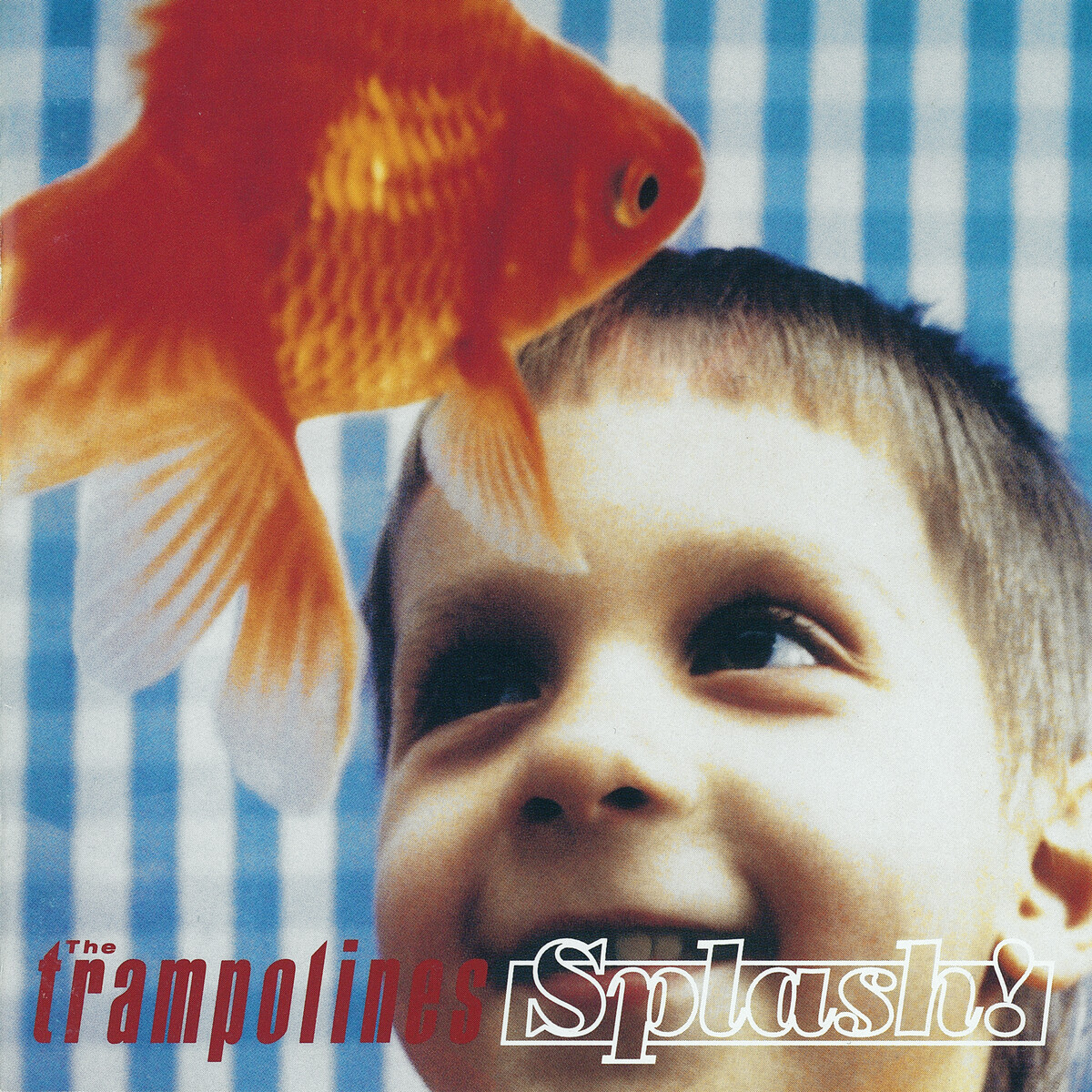 Splash by The Trampolines (Album, Power Pop): Reviews, Ratings, Credits ...