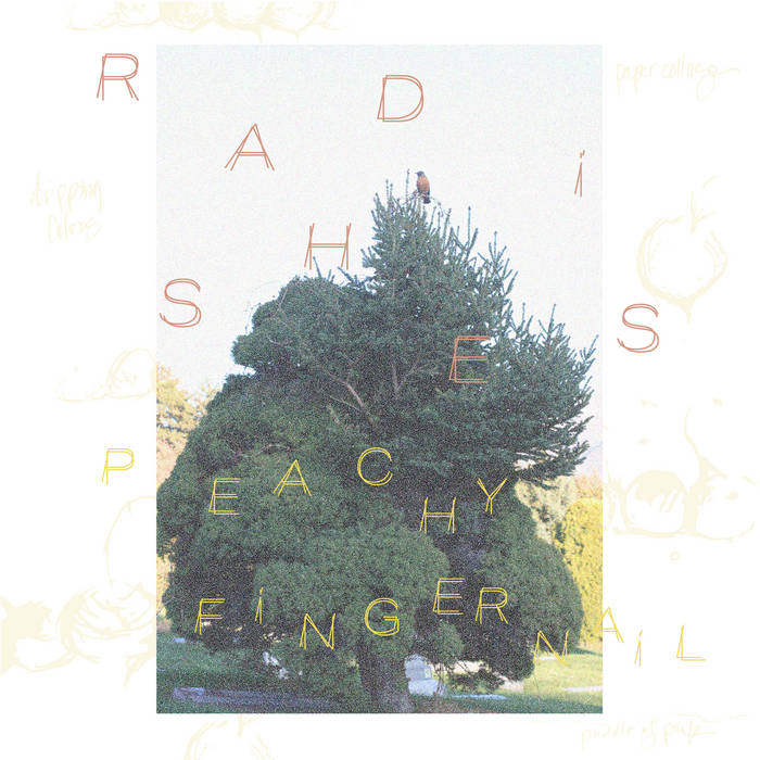 Radishes by Peachy Fingernail (Album): Reviews, Ratings, Credits, Song ...