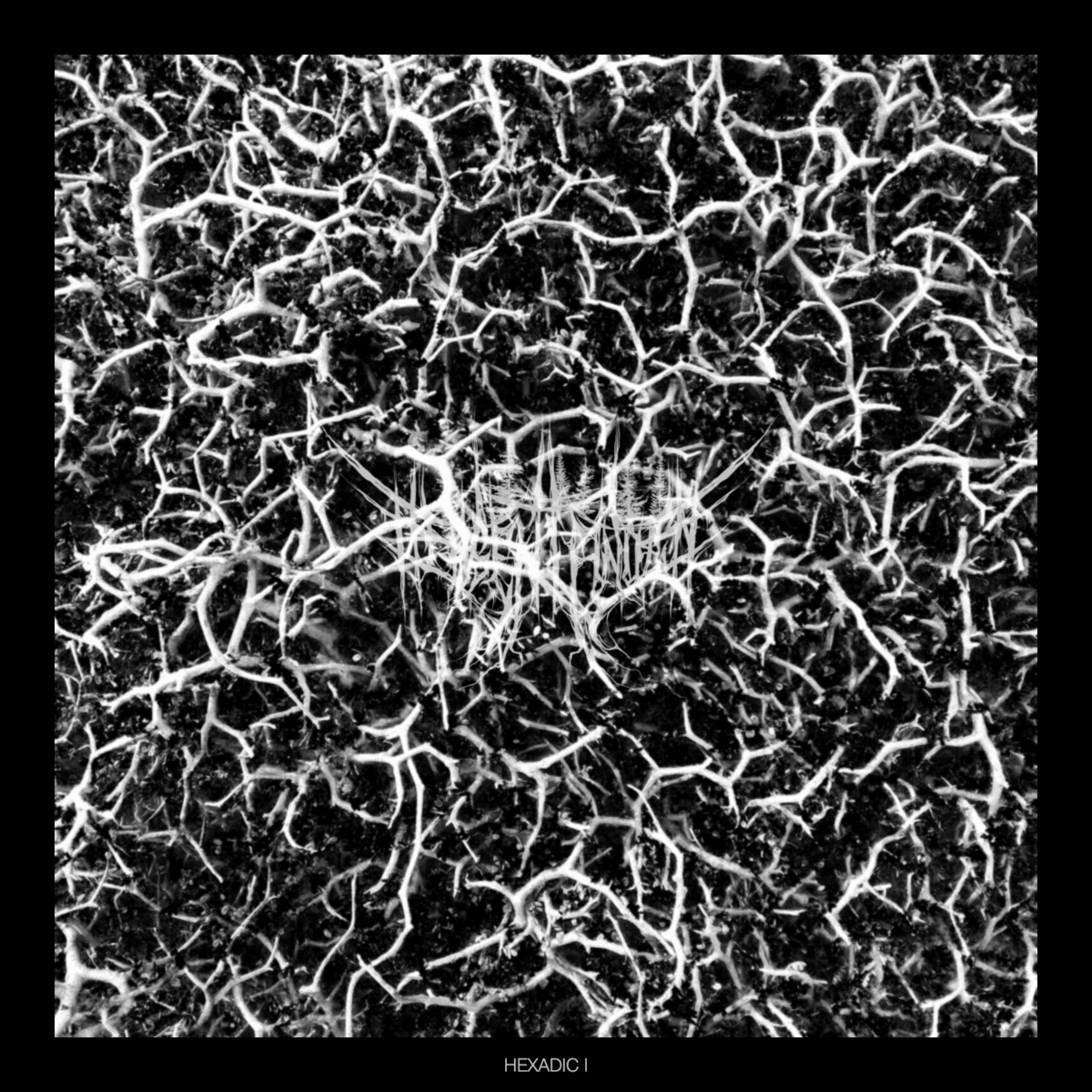 Hexadic I by Heksentanden (Album): Reviews, Ratings, Credits, Song list ...