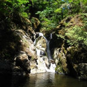 Alda by Alda (Album; Singularity): Reviews, Ratings, Credits, Song list ...