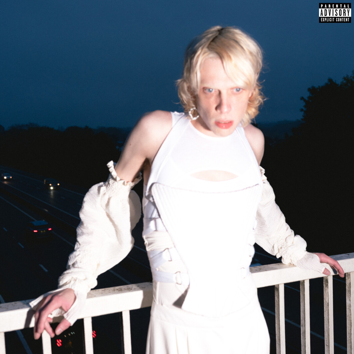 Visions of Hereafter (II) by VASCHA (Album): Reviews, Ratings, Credits ...