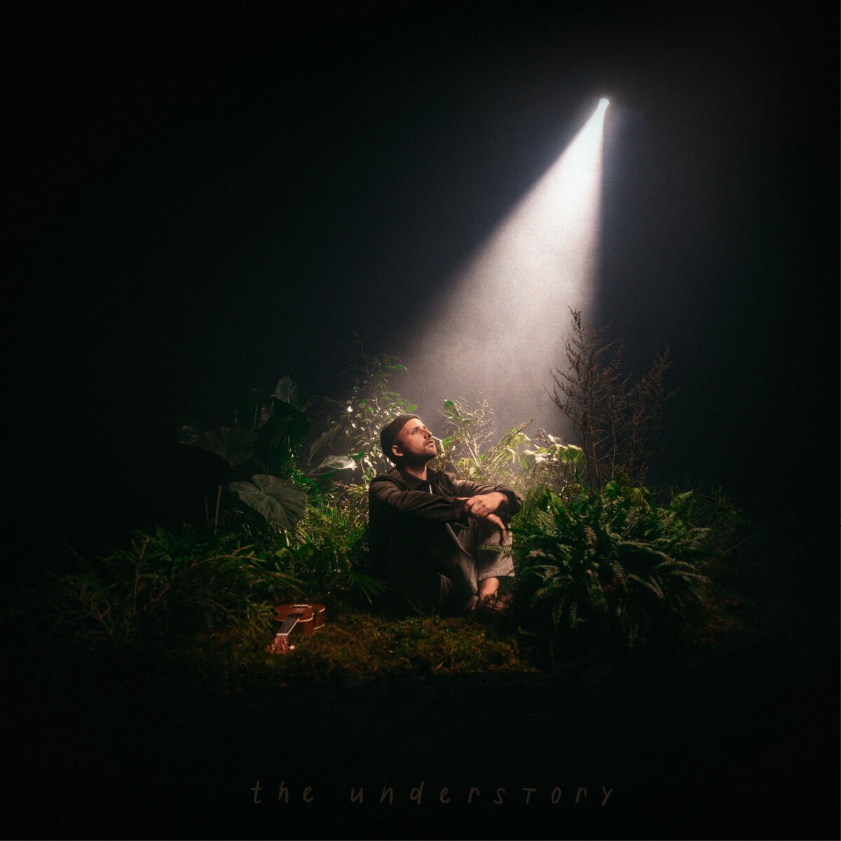 The Understory by Andris Mattson (Album; n/a; n/a): Reviews, Ratings ...