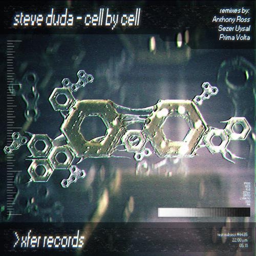 Cell by Cell by Steve Duda (Single): Reviews, Ratings, Credits, Song ...