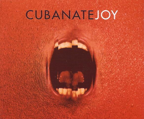 Joy by Cubanate (Single, Industrial Rock): Reviews, Ratings, Credits ...