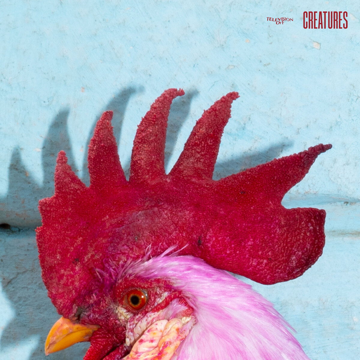 Television Off Albums: songs, discography, biography, and listening ...