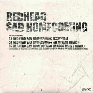 Sad Homecoming by Steve Redhead (Single, Hardgroove Techno): Reviews ...