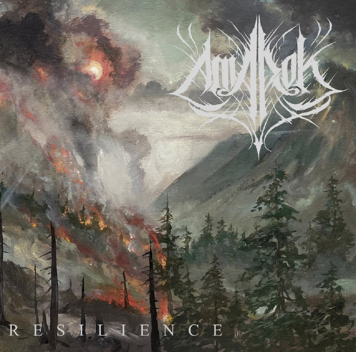 Amarok Albums: songs, discography, biography, and listening guide ...