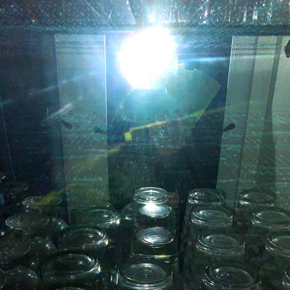 WAREZ '20-'24 by disturbia (Compilation): Reviews, Ratings, Credits ...