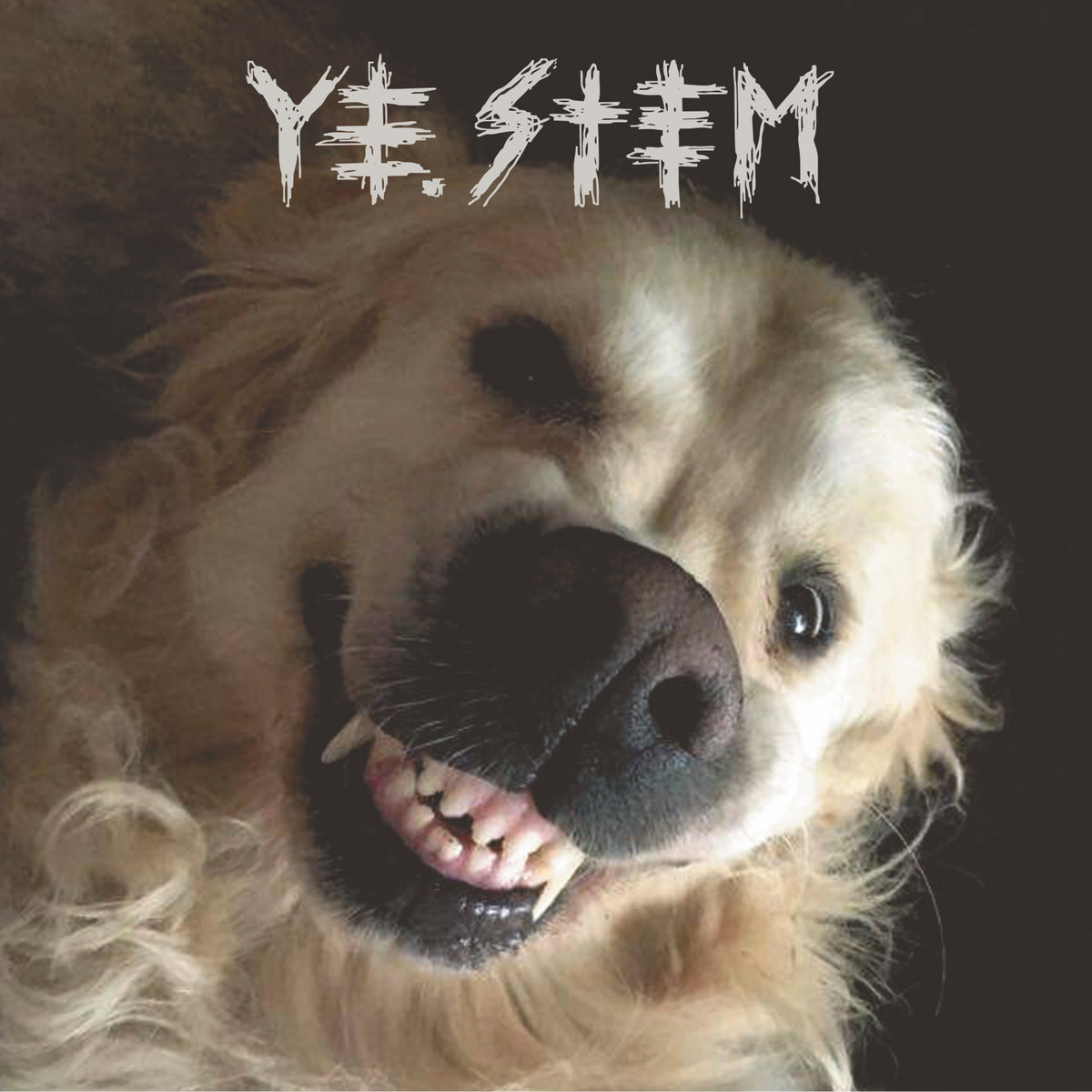 Ye.stem by Ye.stem (Album, Post-Hardcore): Reviews, Ratings, Credits ...