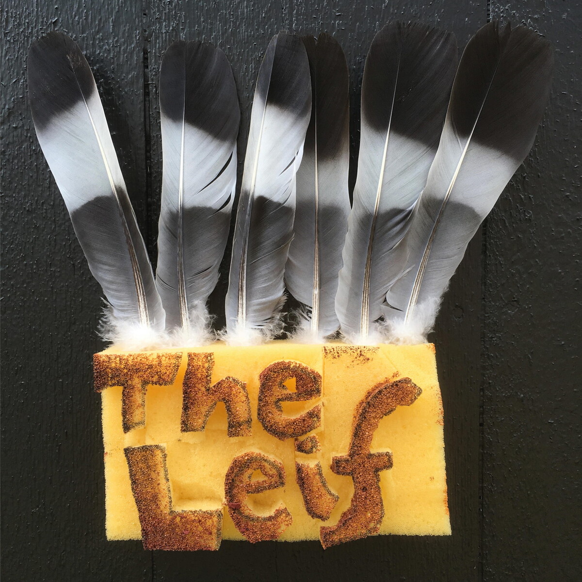 The Leif by The Leif (Album): Reviews, Ratings, Credits, Song list ...