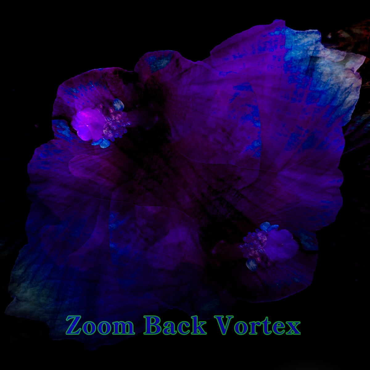 Zoom Back Vortex by Nerve Net Noise (Album): Reviews, Ratings, Credits ...
