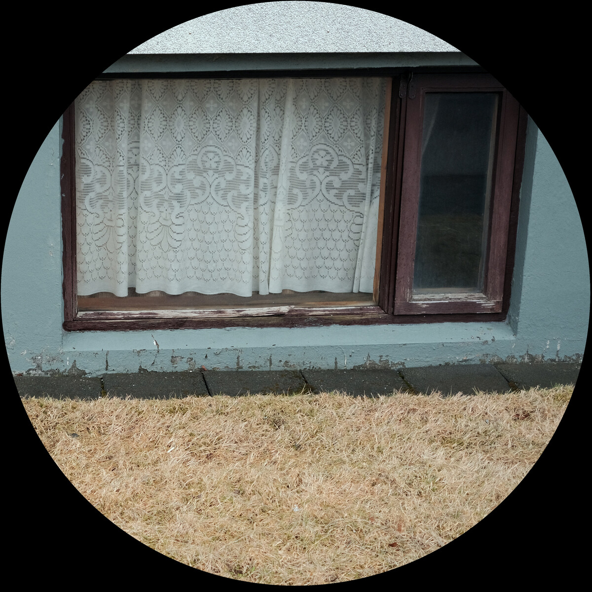 David York Albums: songs, discography, biography, and listening guide ...