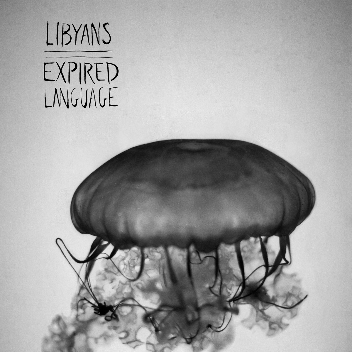 Expired Language by Libyans (Album, Hardcore Punk): Reviews, Ratings ...