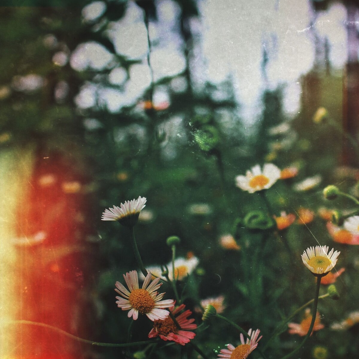 Slightly Perfect by Todd Capps (Single): Reviews, Ratings, Credits ...