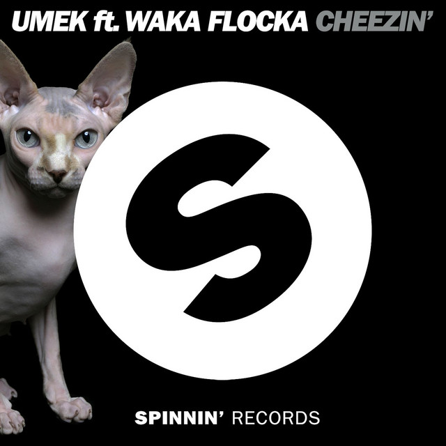 Cheezin' by Umek (Single; Spinnin'): Reviews, Ratings, Credits, Song ...