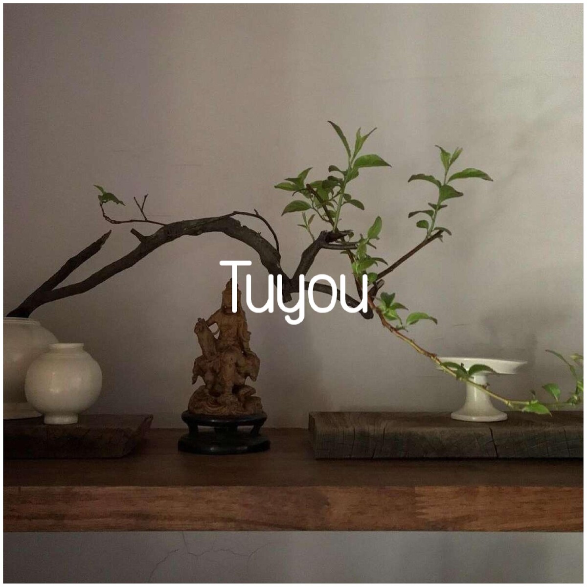 Tuyou by Michiru Aoyama (Album): Reviews, Ratings, Credits, Song list ...