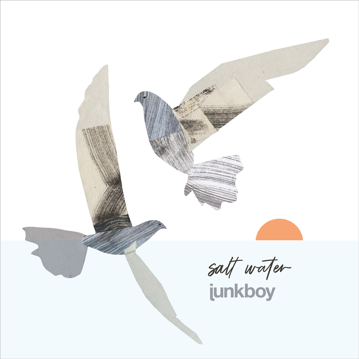 Salt Water by Junkboy (Single, Chamber Pop): Reviews, Ratings, Credits ...