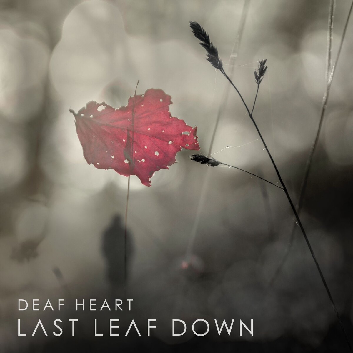 Deaf Heart by Last Leaf Down (Single): Reviews, Ratings, Credits, Song ...
