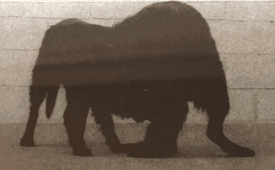 GGUW Albums: songs, discography, biography, and listening guide - Rate ...