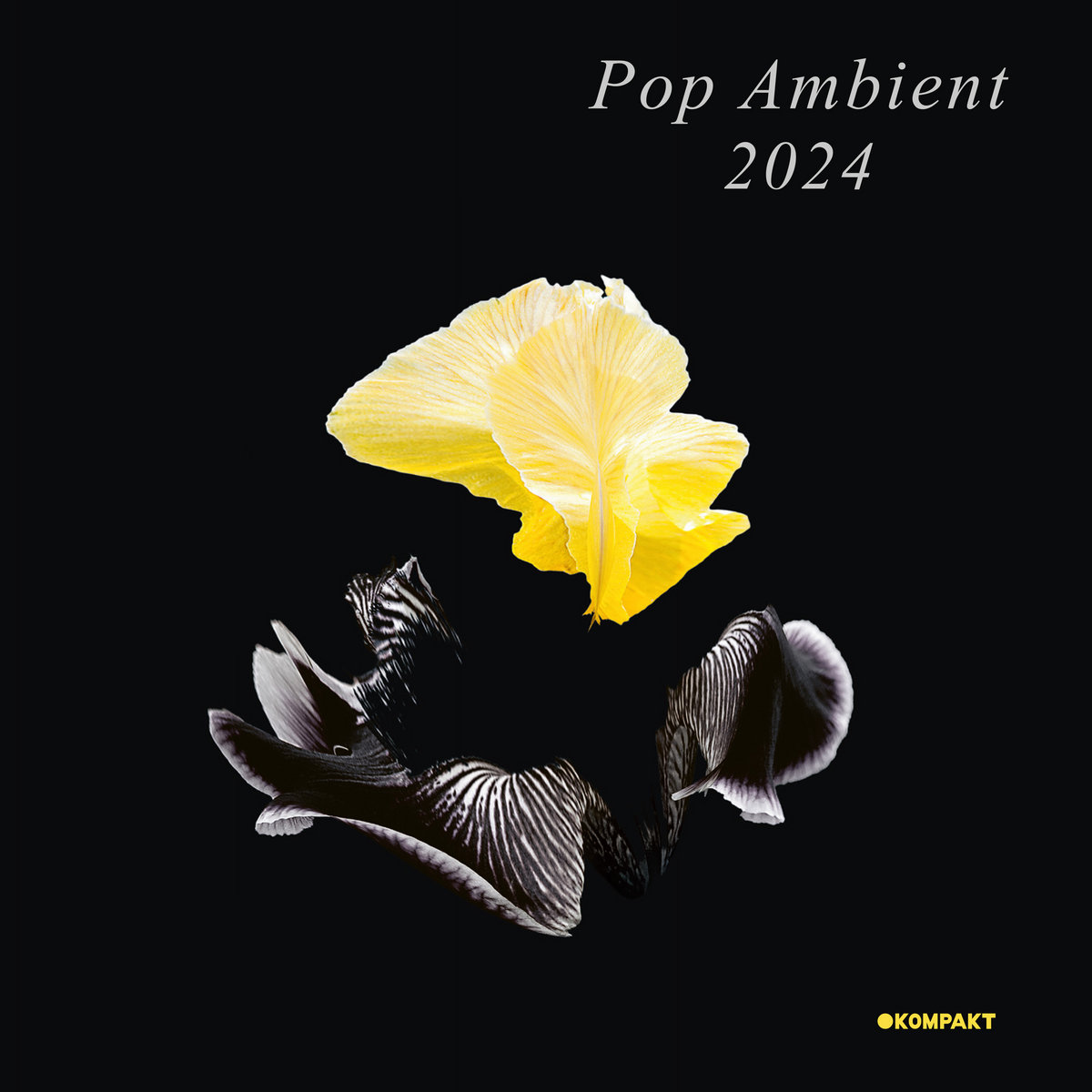 Pop Ambient 2024 by Various Artists (Album, Ambient): Reviews, Ratings ...