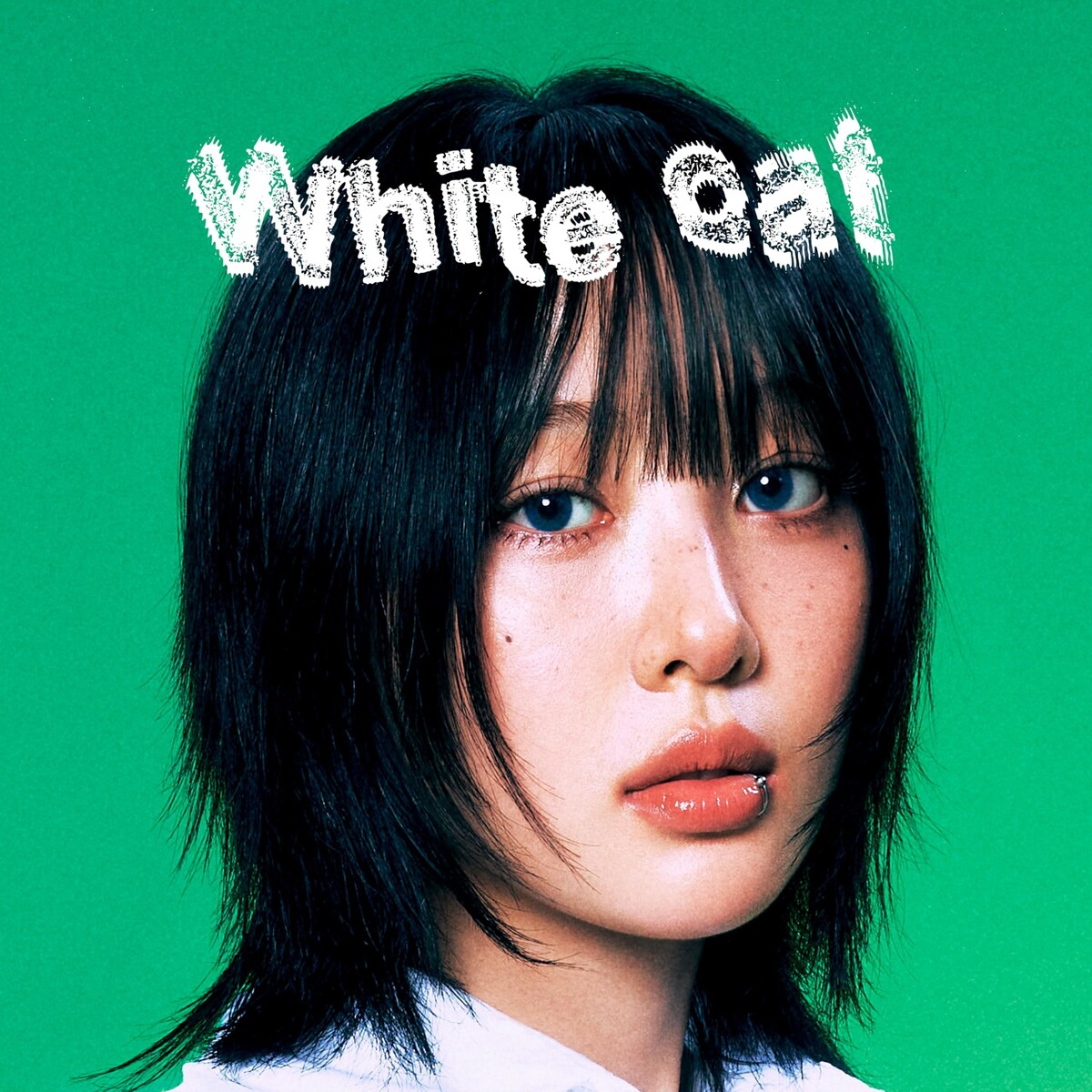White Cat by Yves (Single; PAIX PER MIL): Reviews, Ratings, Credits ...