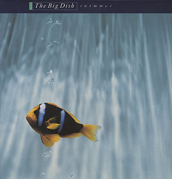 The Big Dish Albums: songs, discography, biography, and listening guide ...