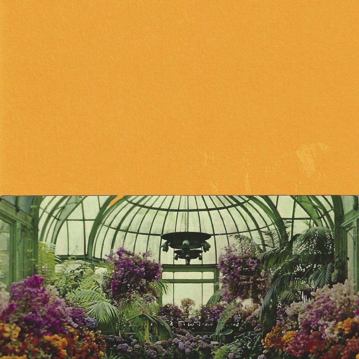 Architecture Exuberant! by Asher White (Album): Reviews, Ratings ...