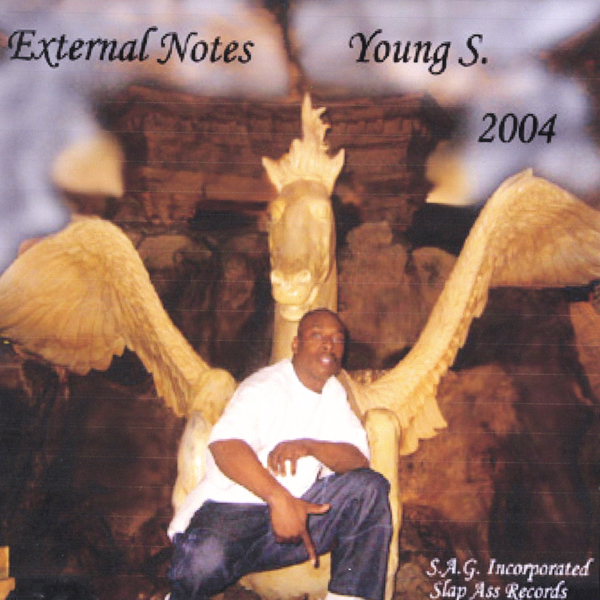 External Notes by Young S. (Album): Reviews, Ratings, Credits, Song ...