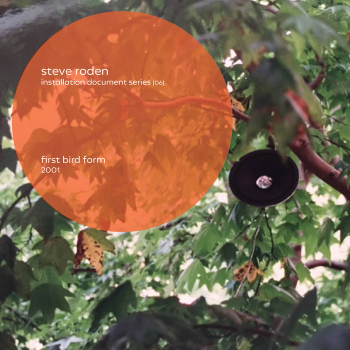 First Bird Form (2001) - Installation Document Series [06] by Steve ...