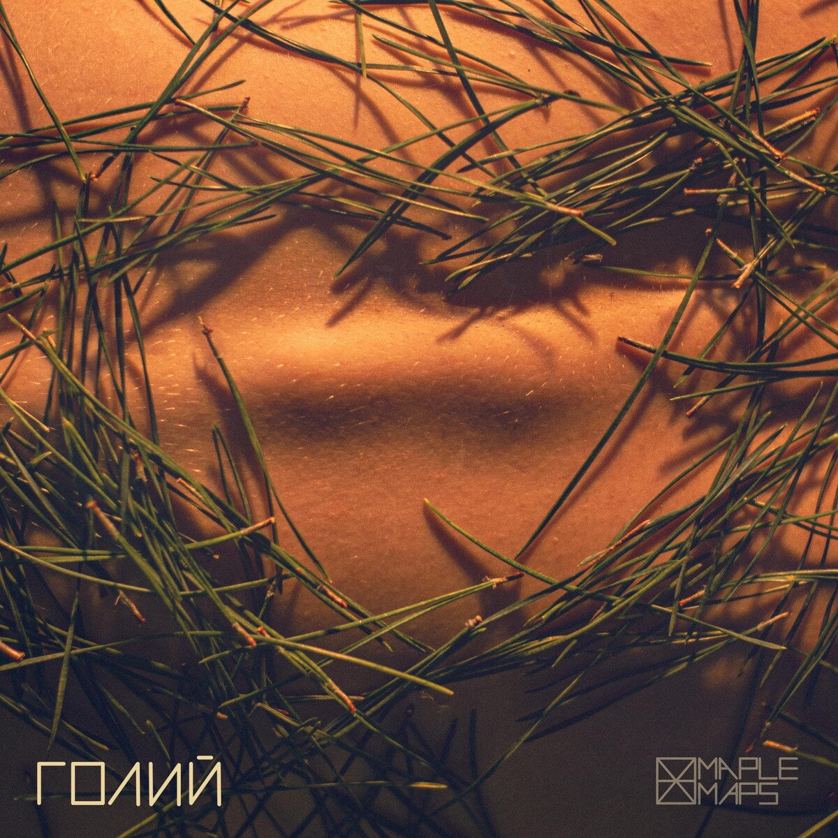 MapleMaps Albums: songs, discography, biography, and listening guide - Rate Your Music