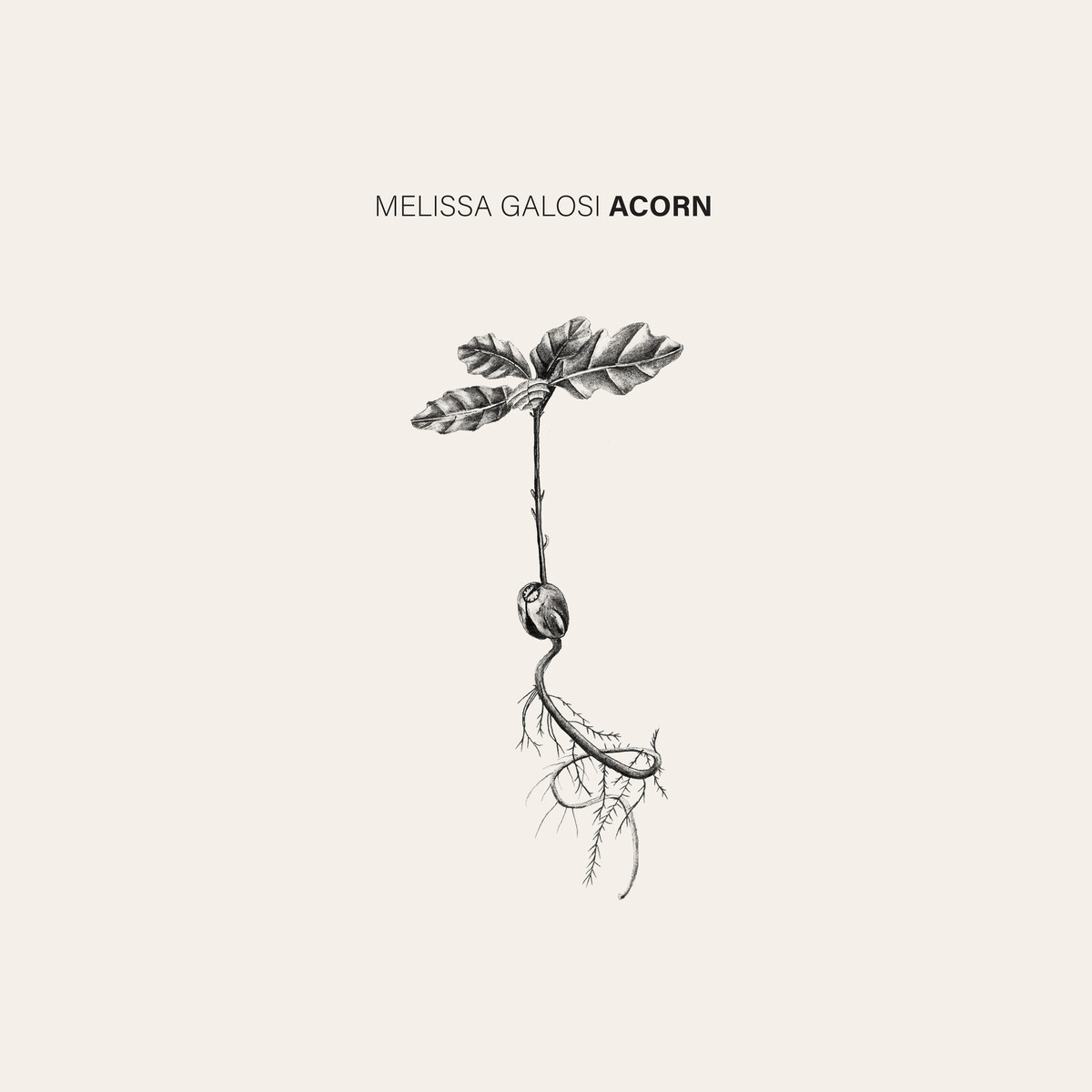 Acorn by Melissa Galosi (Album): Reviews, Ratings, Credits, Song list ...