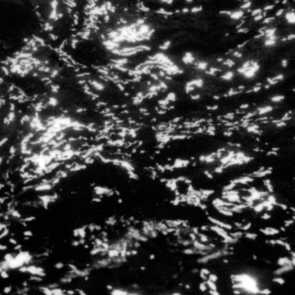 A I A: Dream Loss by Grouper (Album; Yellowelectric): Reviews, Ratings ...