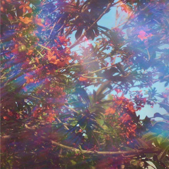 Rainbow Rituals by Constant Shapes (Album): Reviews, Ratings, Credits ...