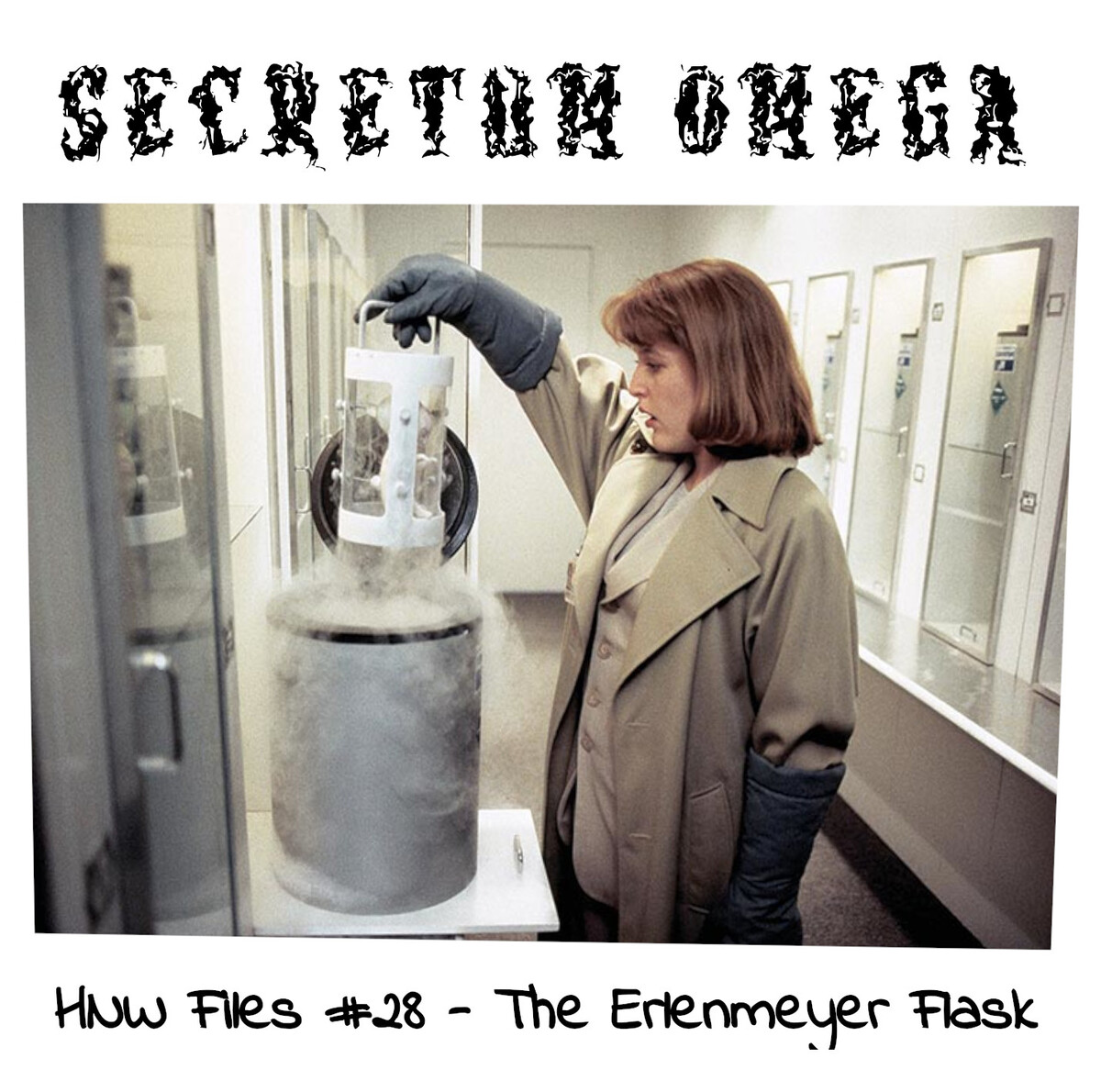Hnw Files #28 - The Erlenmeyer Flask by Secretum Omega (Album): Reviews ...