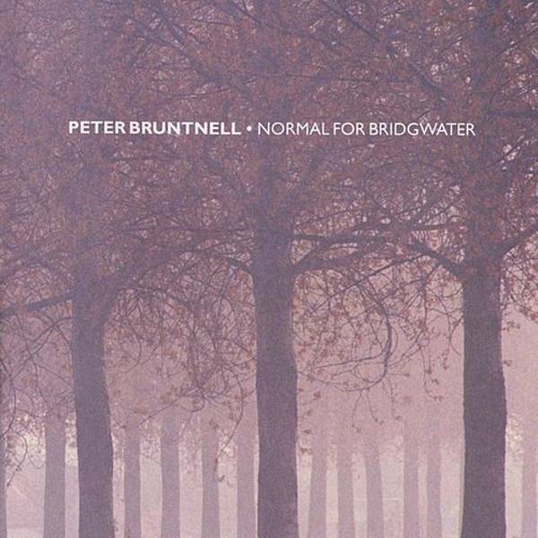 Peter Bruntnell Albums: songs, discography, biography, and listening ...