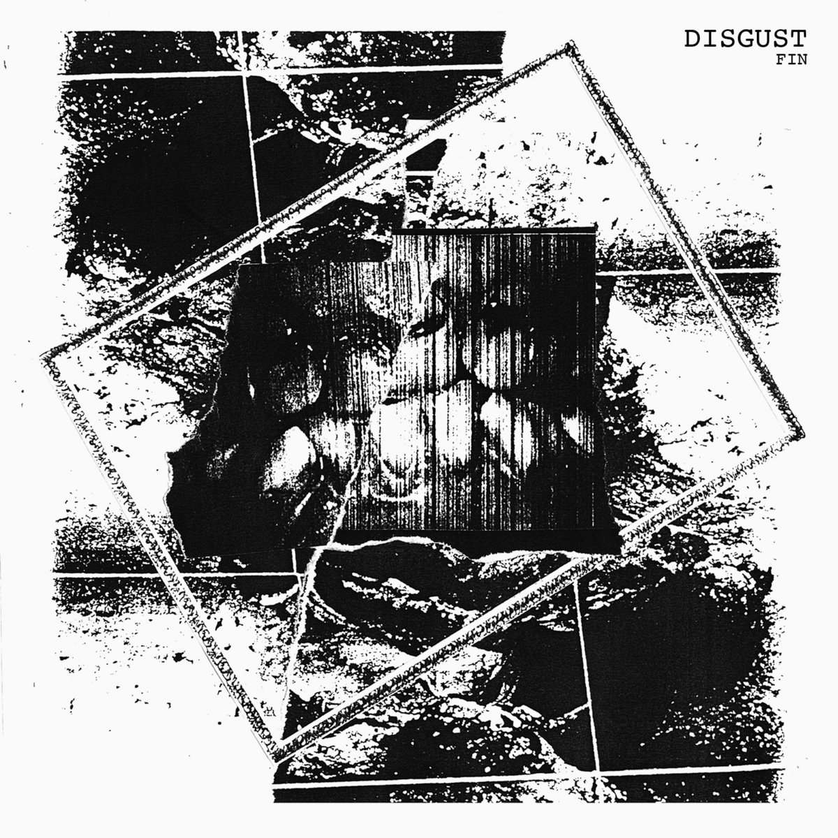 Fin by Disgust (Album; Phage; PT: 456): Reviews, Ratings, Credits, Song ...