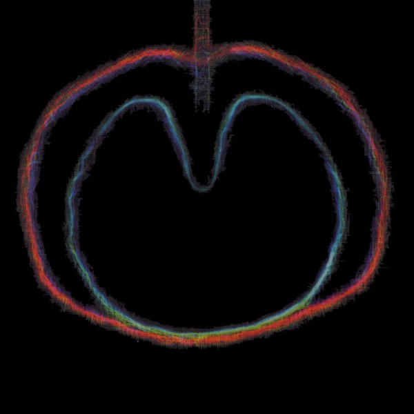 Wasp Star (Apple Venus Volume 2) by XTC (Album; TVT; TVT 3260-2 ...