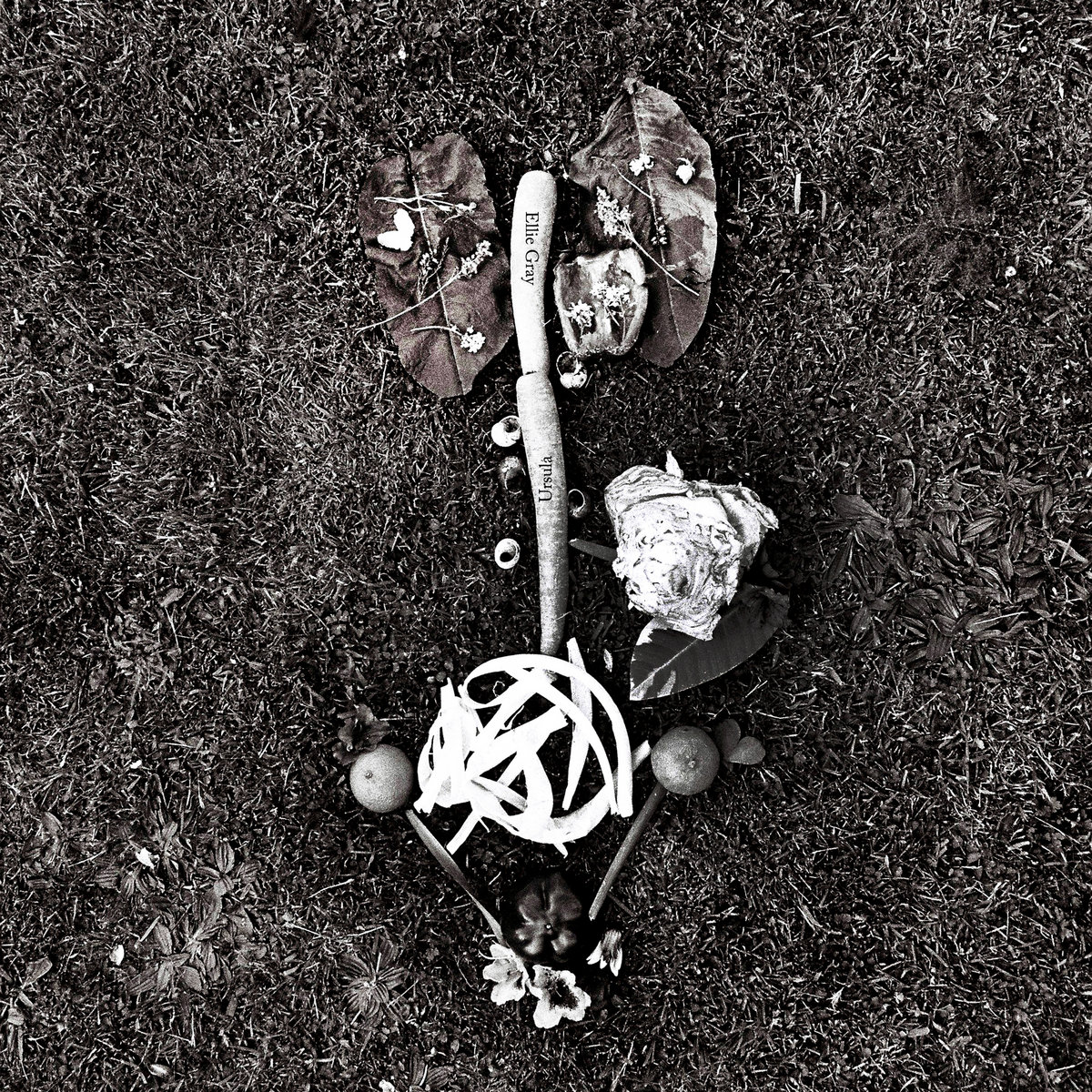 Ellie Gray Albums: songs, discography, biography, and listening guide ...