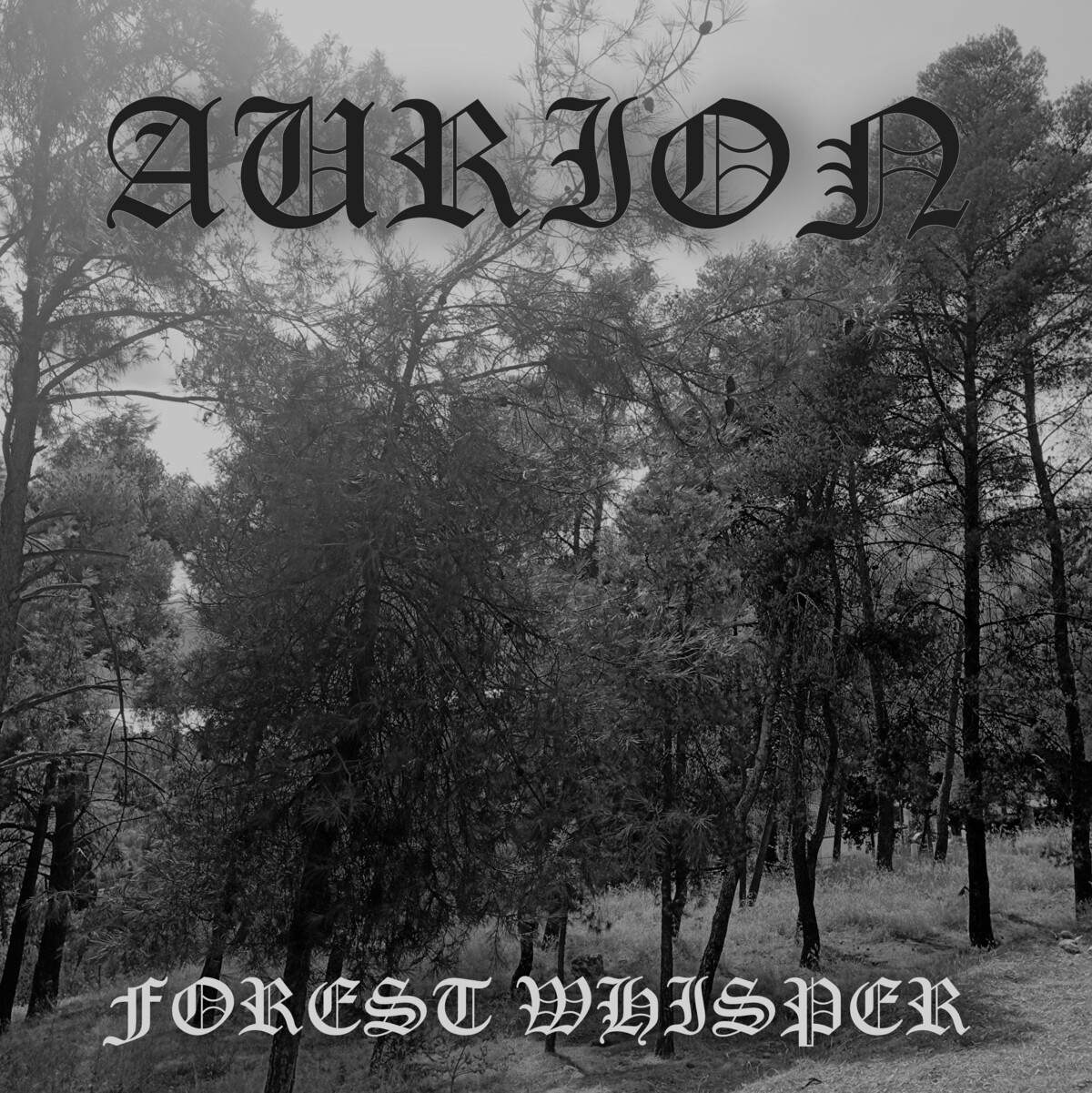 Forest Whisper by Aurion (Single): Reviews, Ratings, Credits, Song list ...