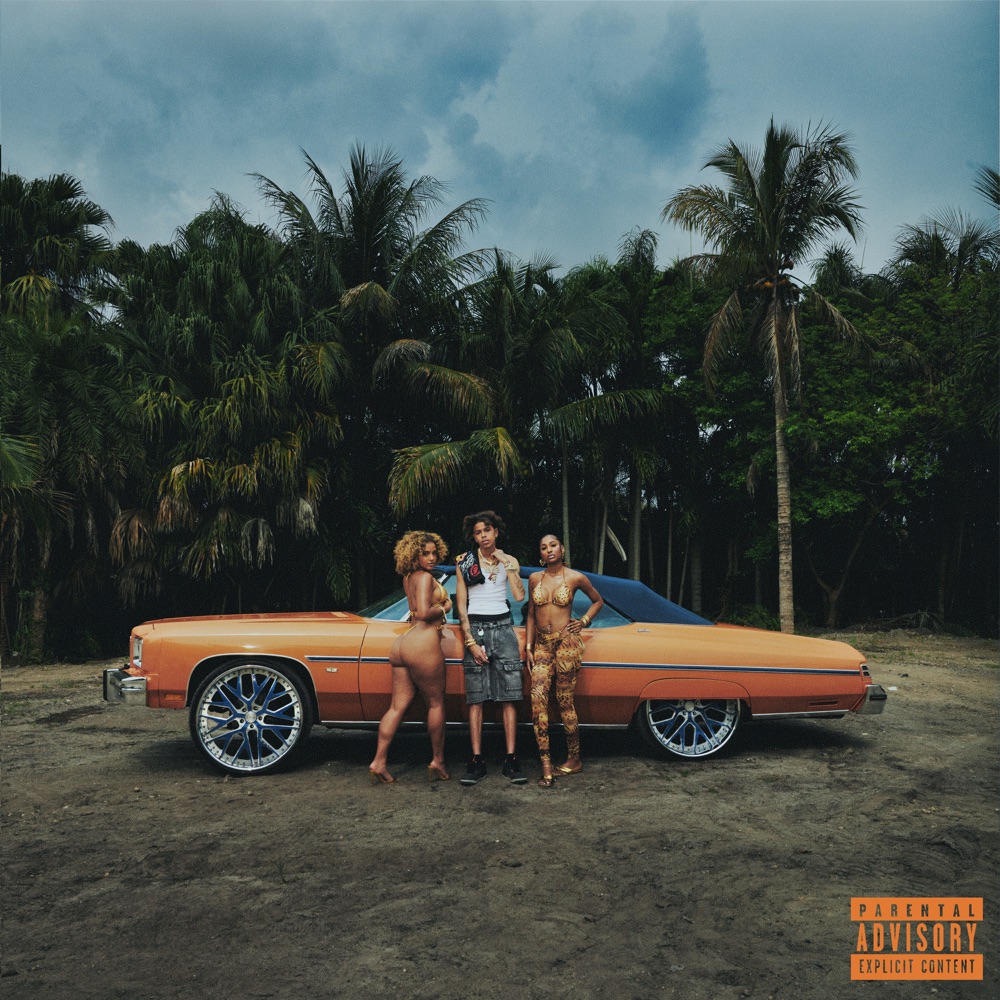 Florida Boy by Luh Tyler (Mixtape, Trap): Reviews, Ratings, Credits ...