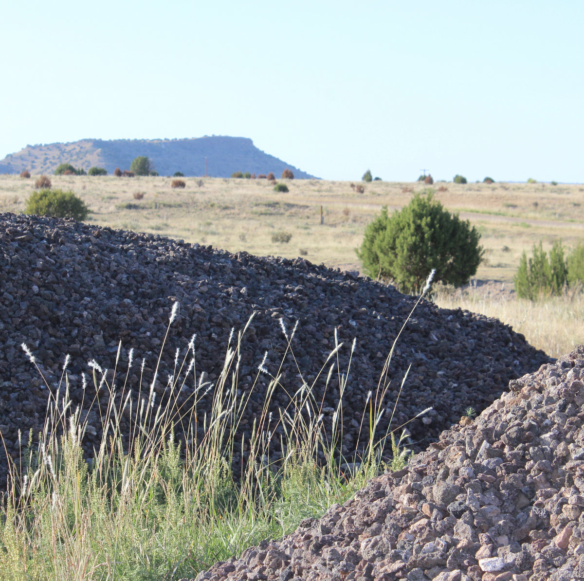 The Land Ethic, First Autumn 2020 by Andrew Weathers (Album): Reviews ...