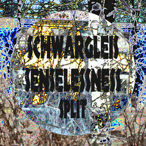 Schwargleis / Senselessness by Schwargleis / senselessness (Album ...