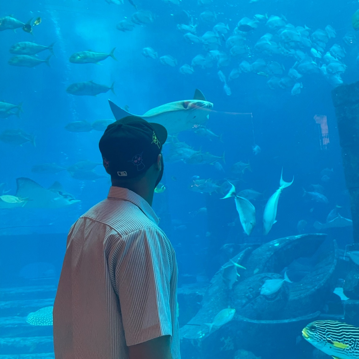 You Can Have It by RealYungPhil (Single, Plugg): Reviews, Ratings ...