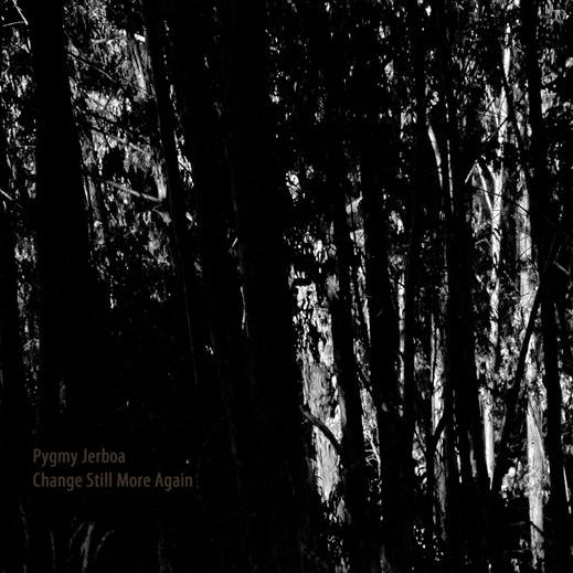 Pygmy Jerboa Albums: songs, discography, biography, and listening guide ...