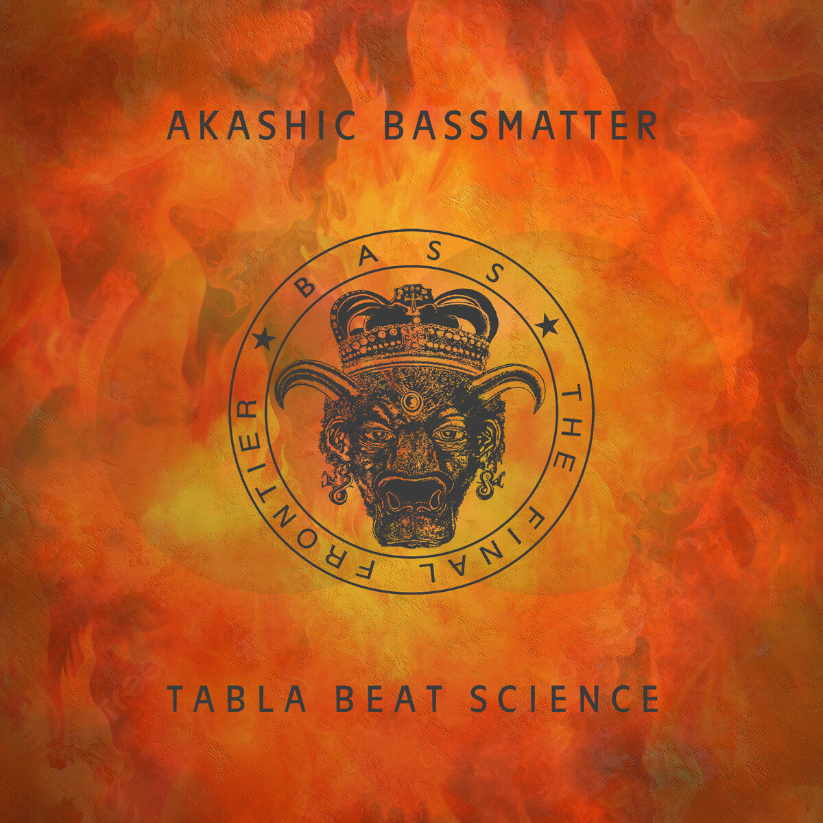 Akashic Bassmatter by Tabla Beat Science (Compilation): Reviews ...